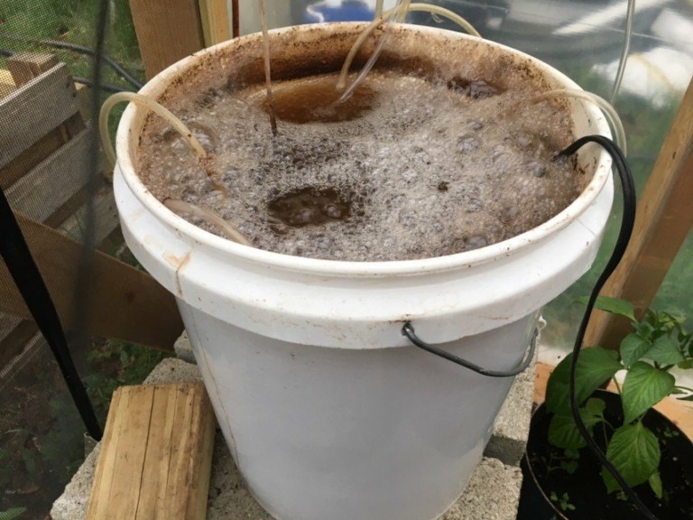 How To Make Compost Tea for Vegetables – 7Savings.com