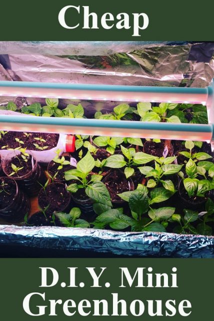 Mini Greenhouse | 7Savings.com