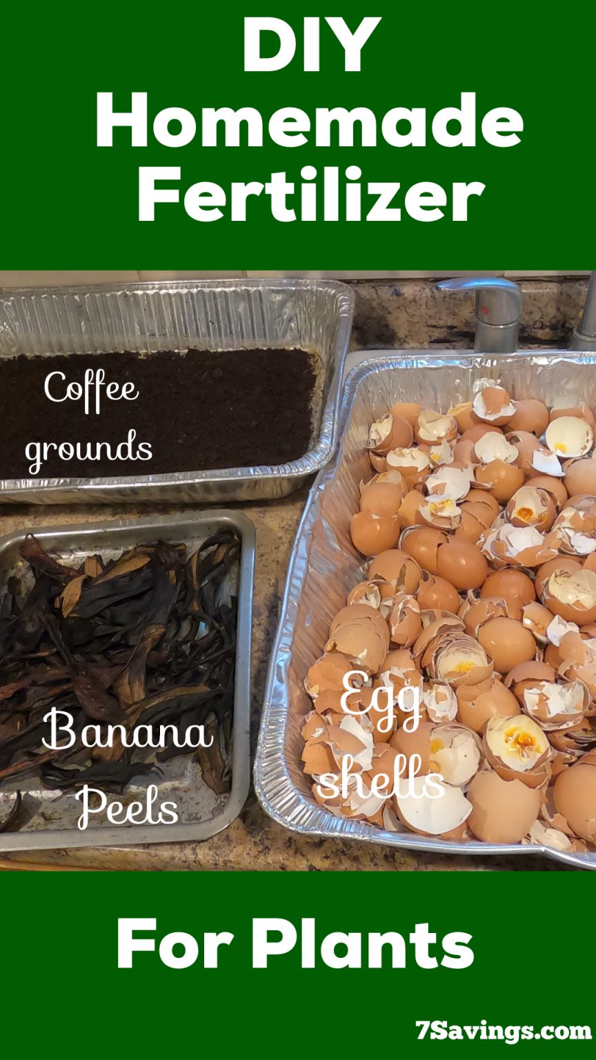 Great DIY Homemade fertilizer for plants (with all organic household items)