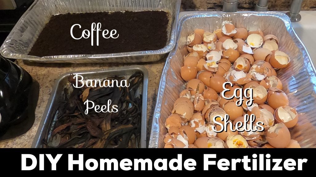 Homemade Fertilizer For Plants 7Savings
