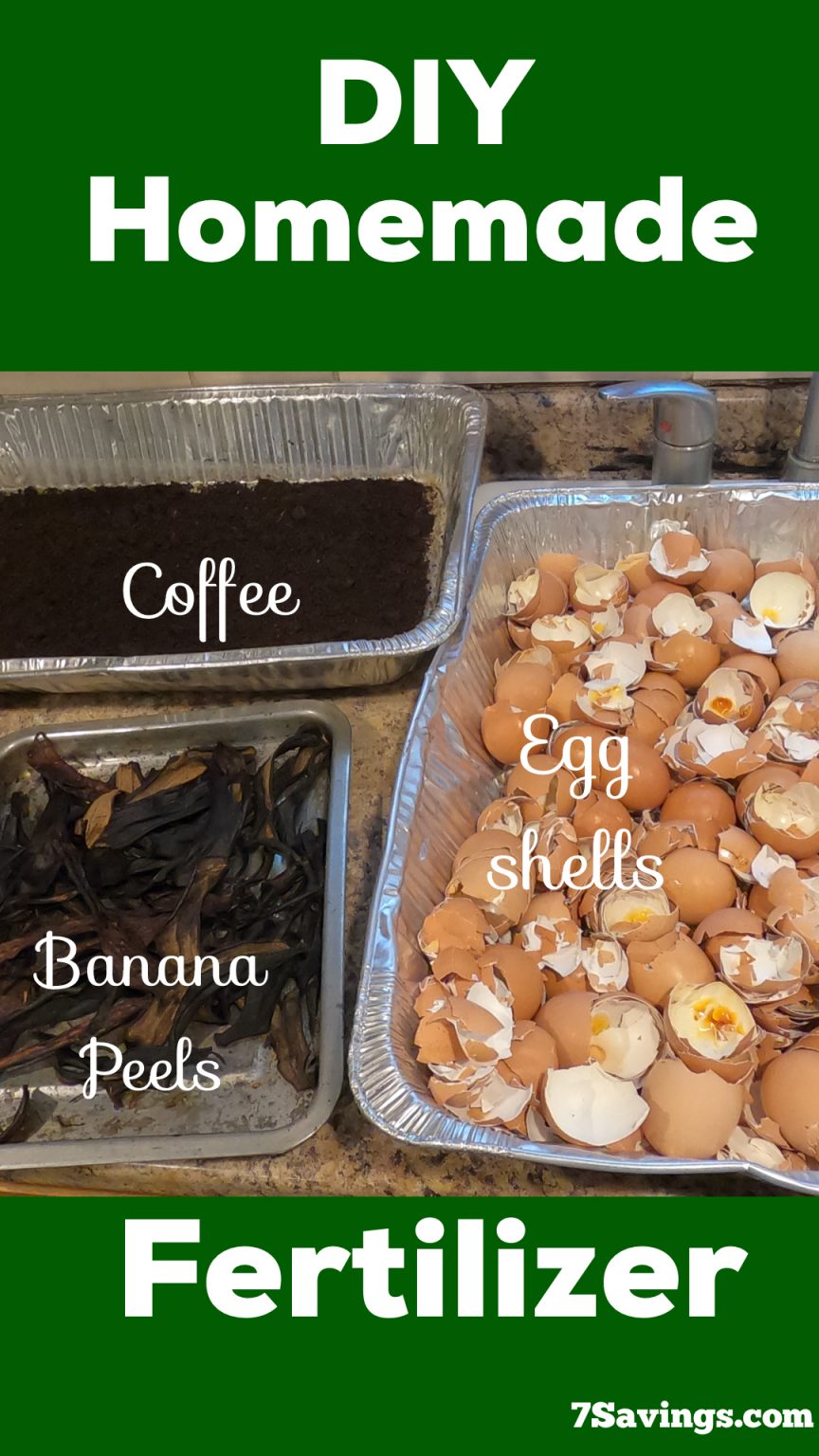 Great DIY Homemade fertilizer for plants (with all organic household items)